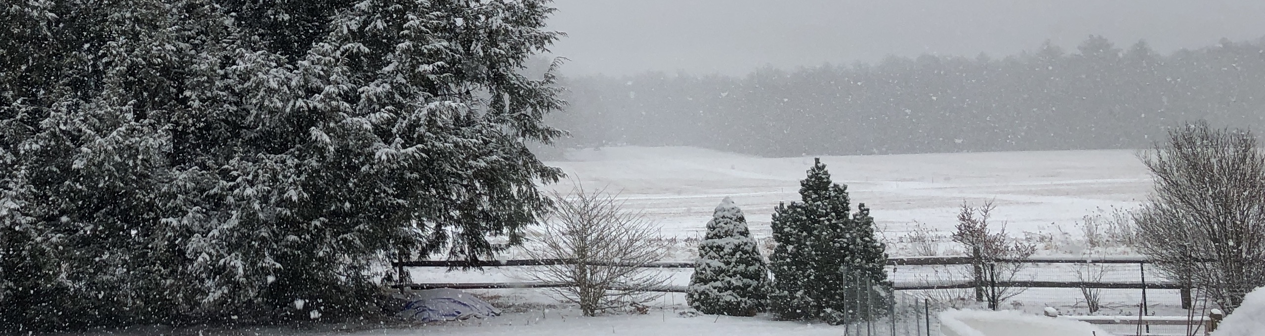 Why I Garden - Inconstant GardenerInconstant Gardener